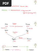 Mnemonics For Cycle Cell and Division | PDF