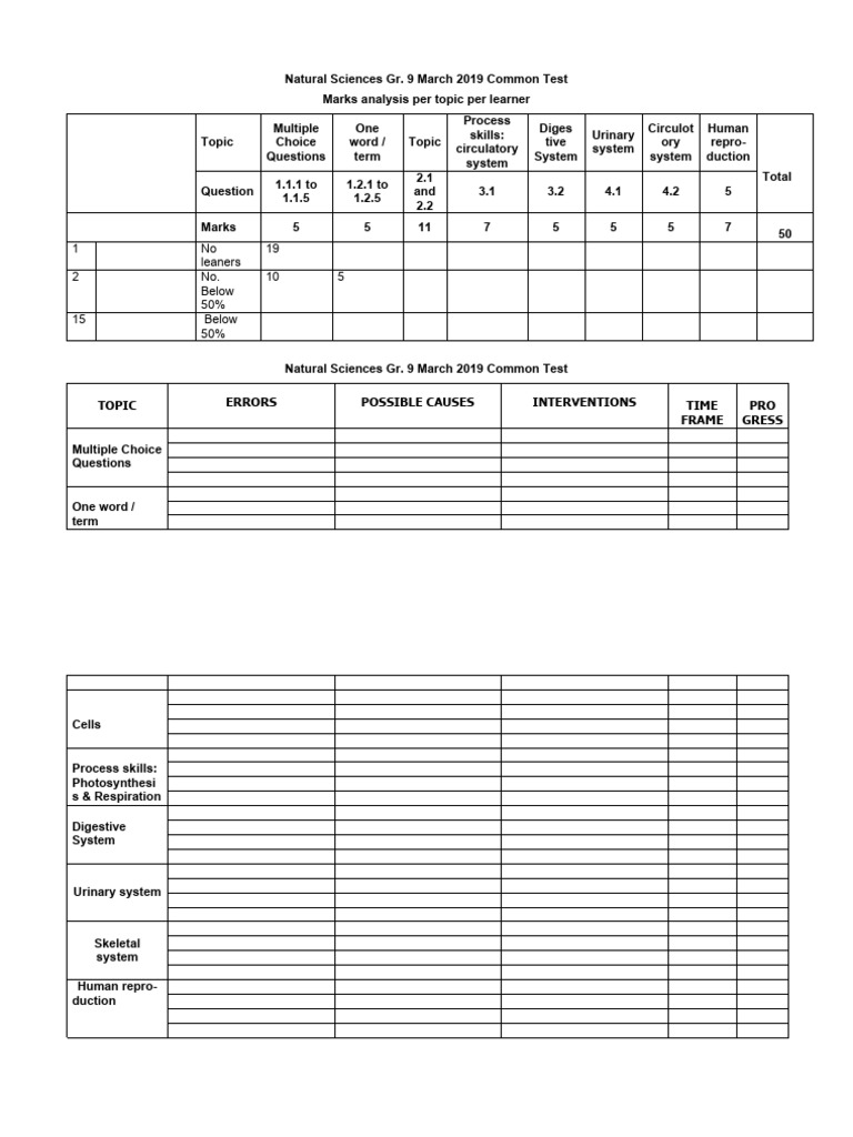 Item and Error Analysis Revised Template | PDF