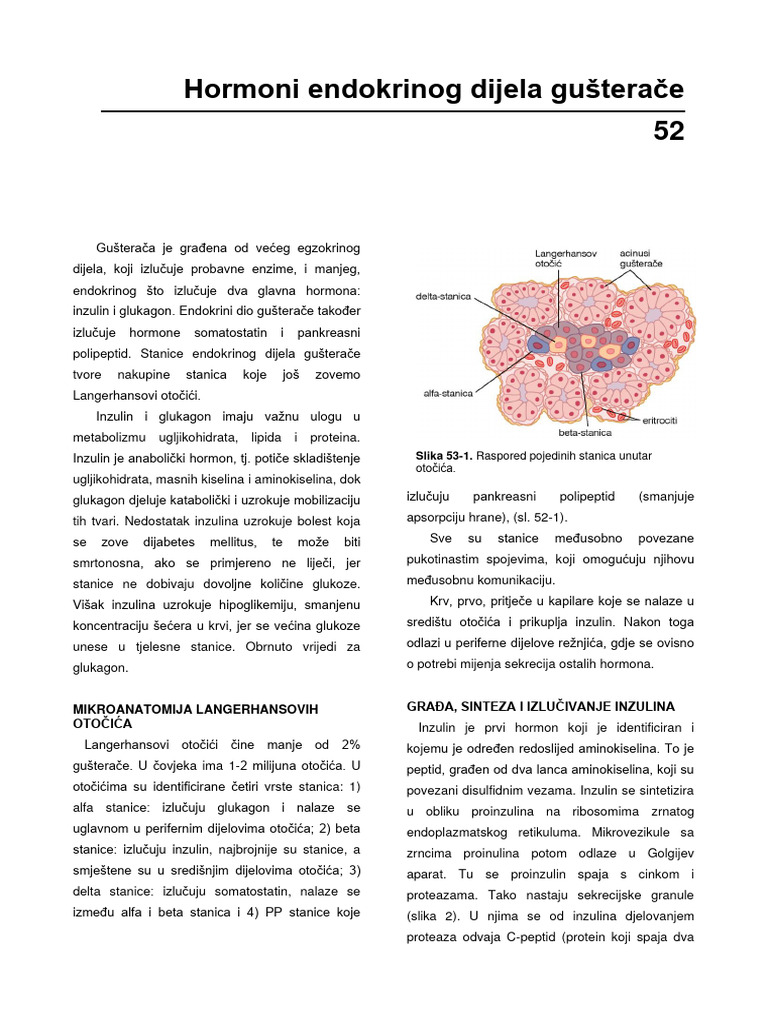 52 - Endokrini Pankreas | PDF