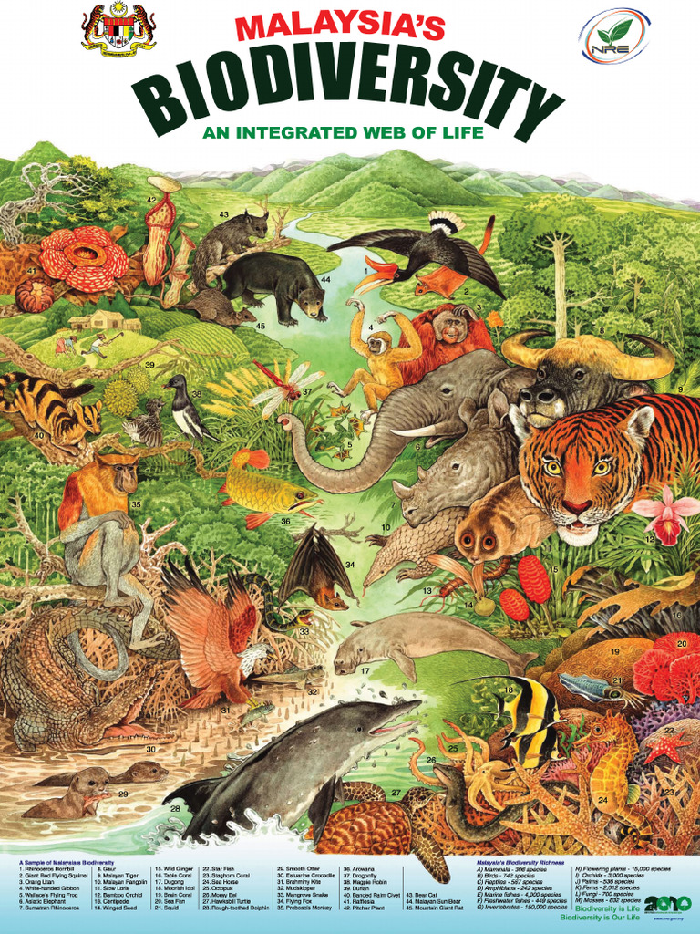 Malaysia's Biodiversity An Integrated Web of Life Poster | PDF