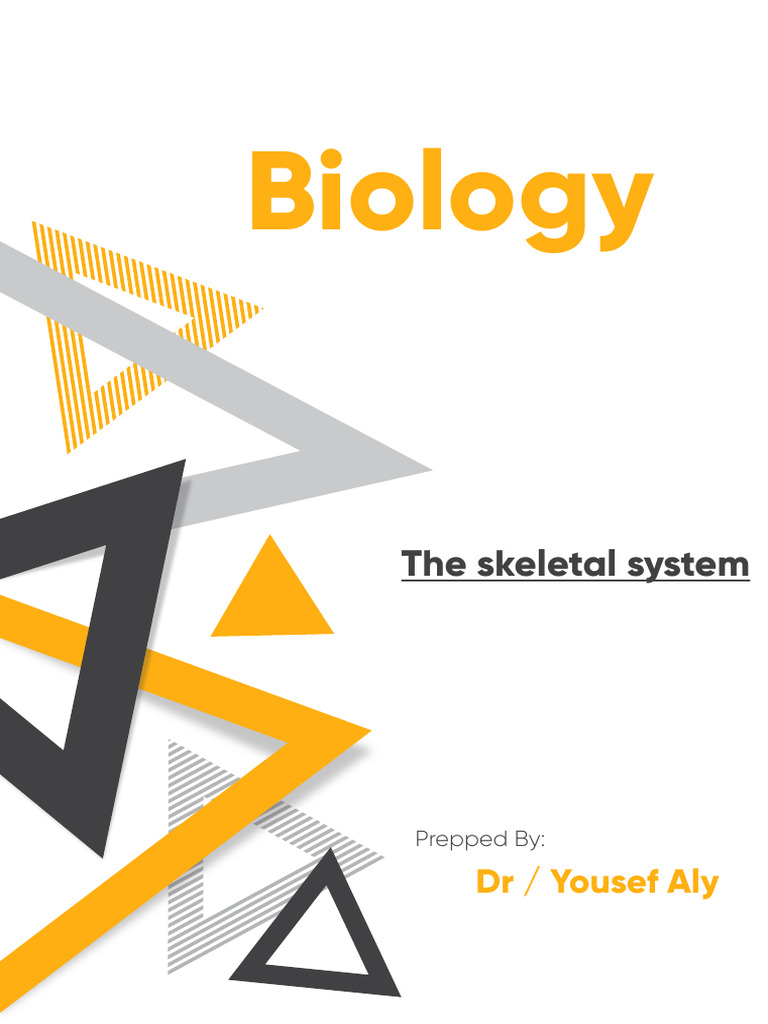 The Skeletal System | Download Free PDF | Vertebral Column | Vertebra