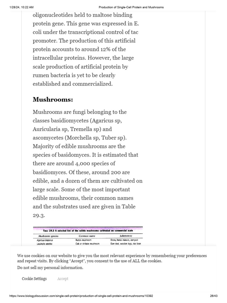 Production of Mushrooms | PDF | Edible Mushroom | Biology