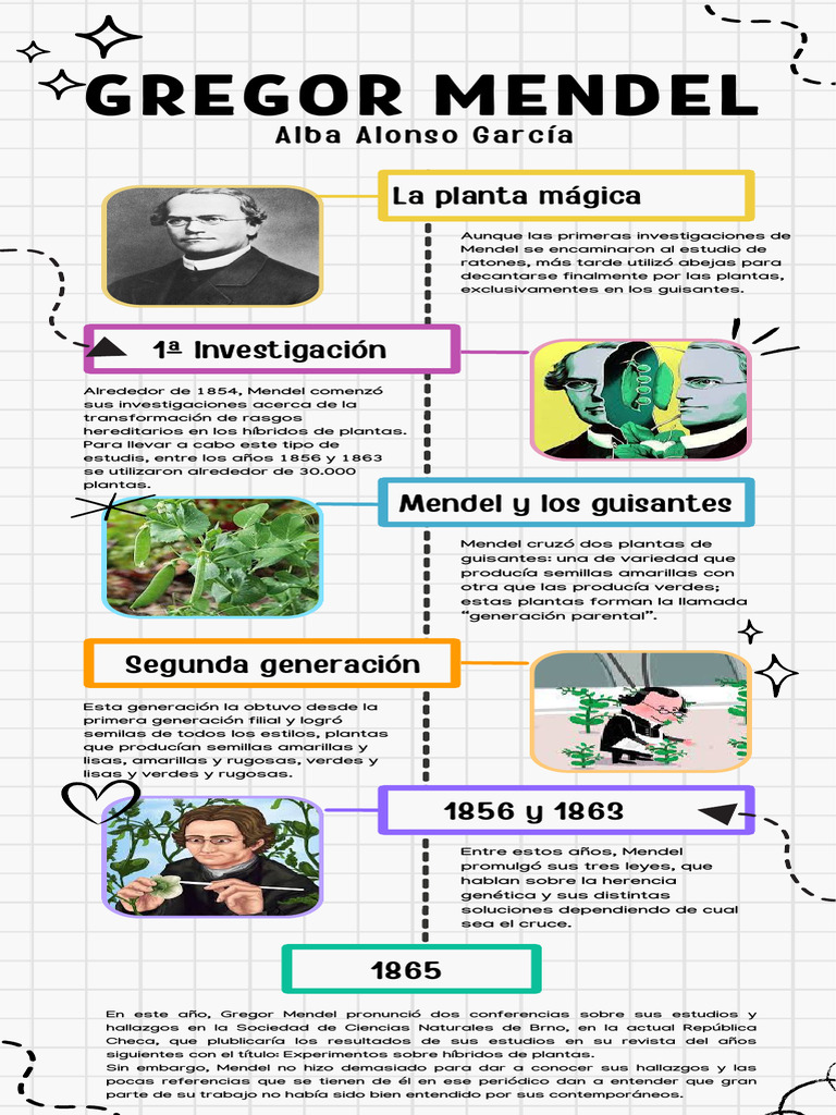 Infografía GREGOR MENDEL | Descargar gratis PDF | Biología | Genética