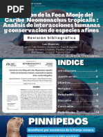 Focas Bebés | PDF | Pinnípedo | Hembra