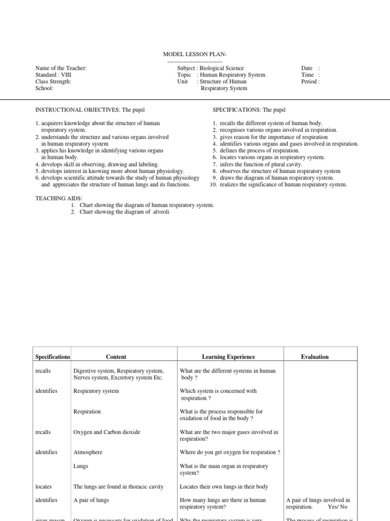 2 3 4-Lesson-Plan | PDF | Respiratory System | Lung