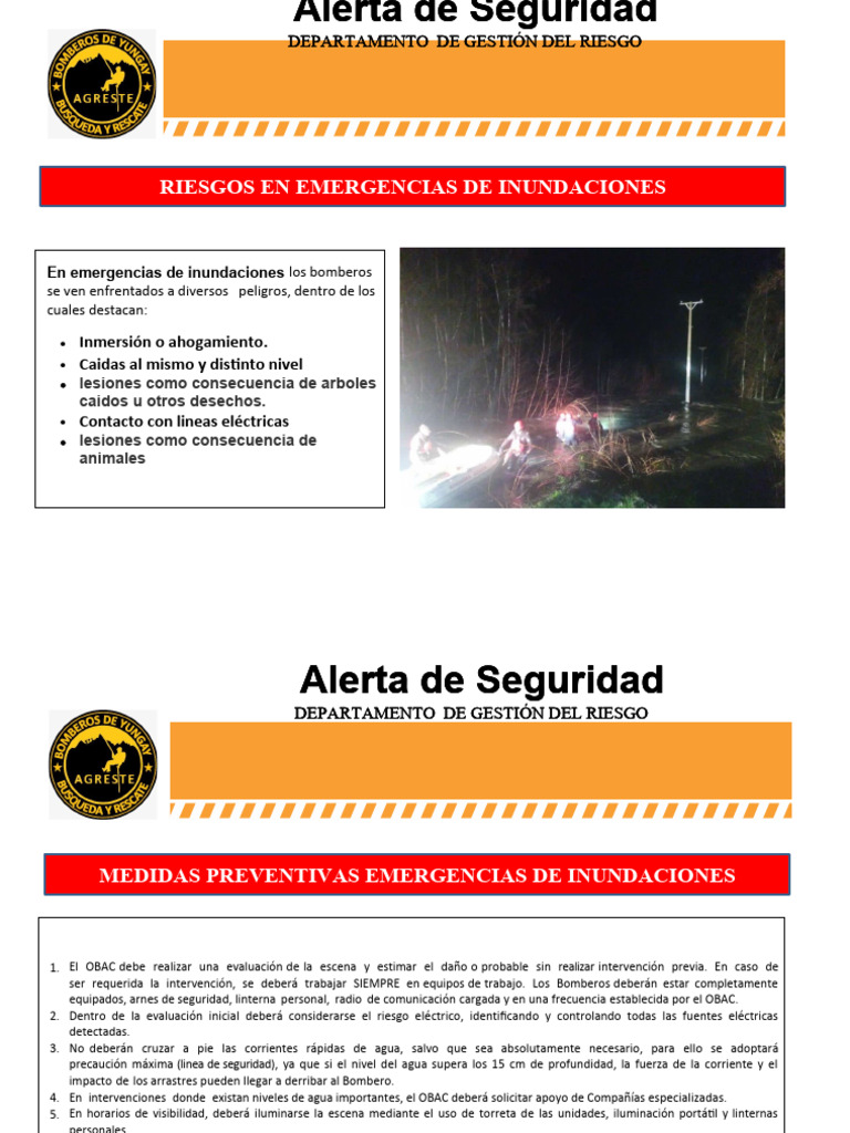 alerta seguridad | PDF