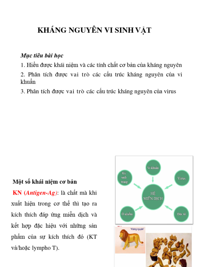 KN VSV | PDF