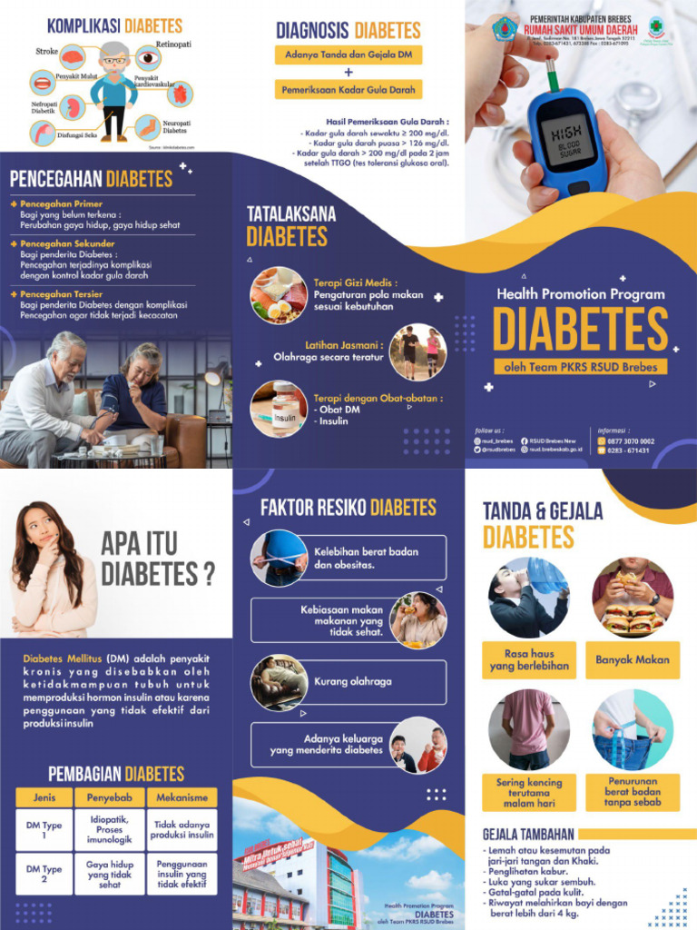 Leaflet-Program-Diabetes | PDF