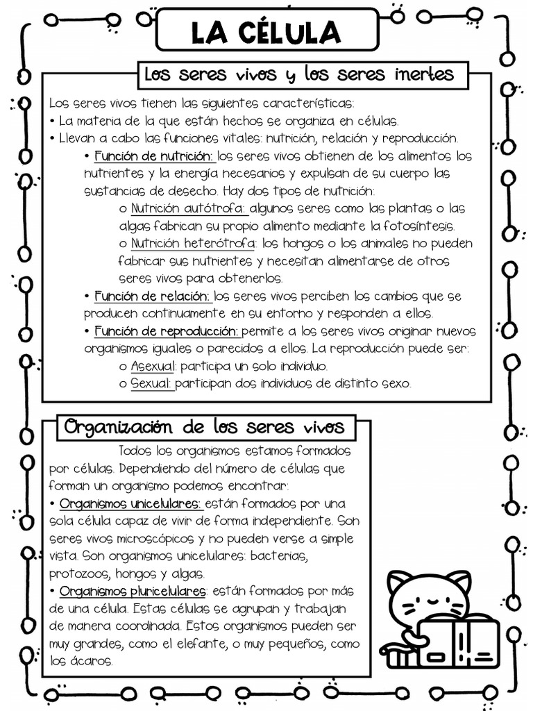 Características y funciones de los seres vivos | PDF | Biología Celular ...
