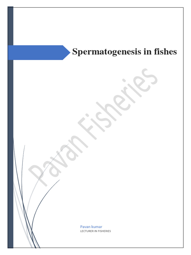 Spermatogenesis Pdf Testicle Sex Organ