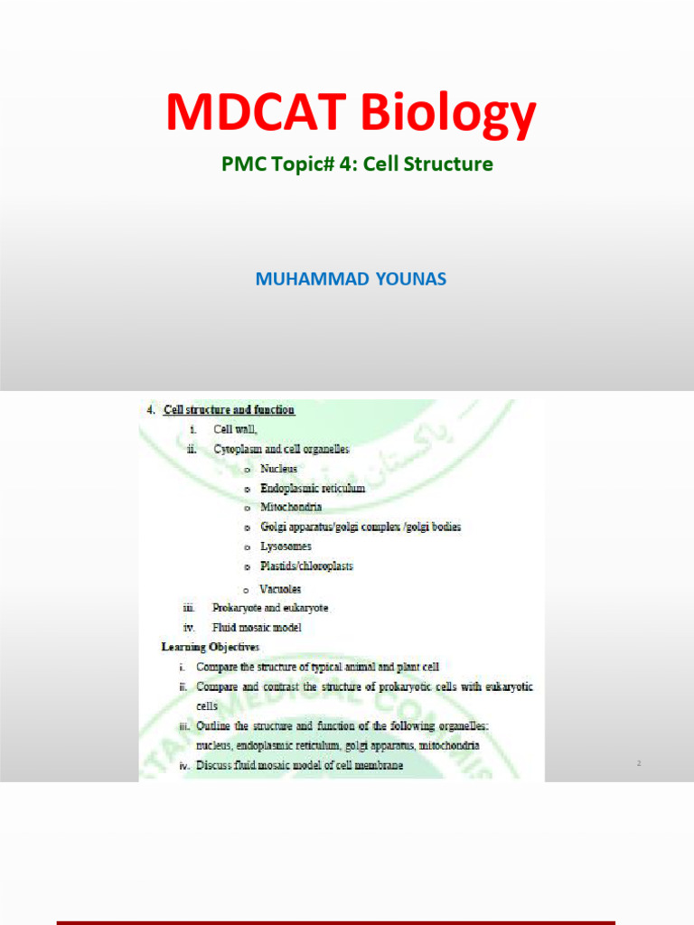Cell Structure | PDF | Endoplasmic Reticulum | Cell (Biology)