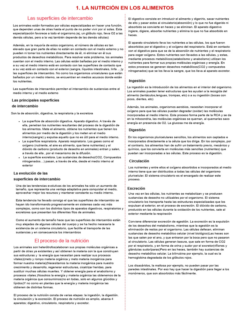 Superficies de Intercambio y Nutrición Animal | PDF | Digestión | Sistema digestivo humano