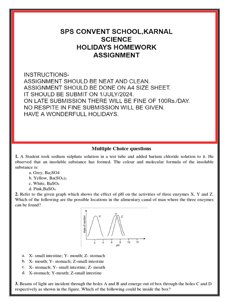 Science Project File Guidelines | PDF | Mirror | Chemical Substances