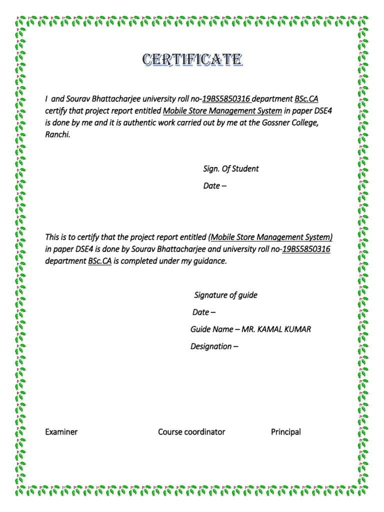 BHATTU | PDF | Information Technology | Computing