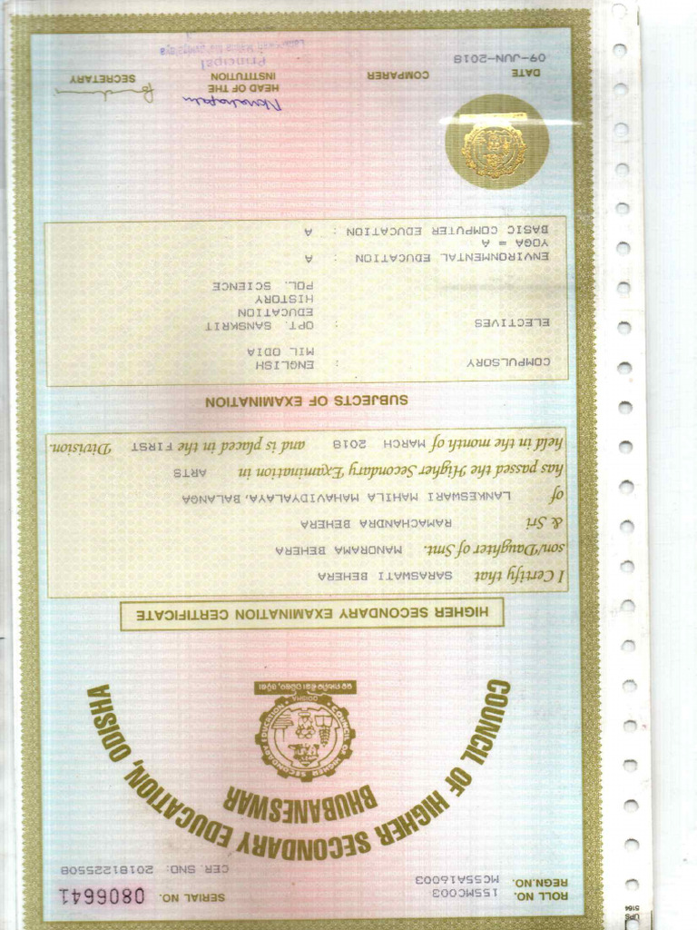 +2 Certificate | PDF