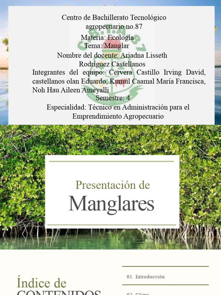 Man Glar | PDF | Mangle | Ciencias de la Tierra