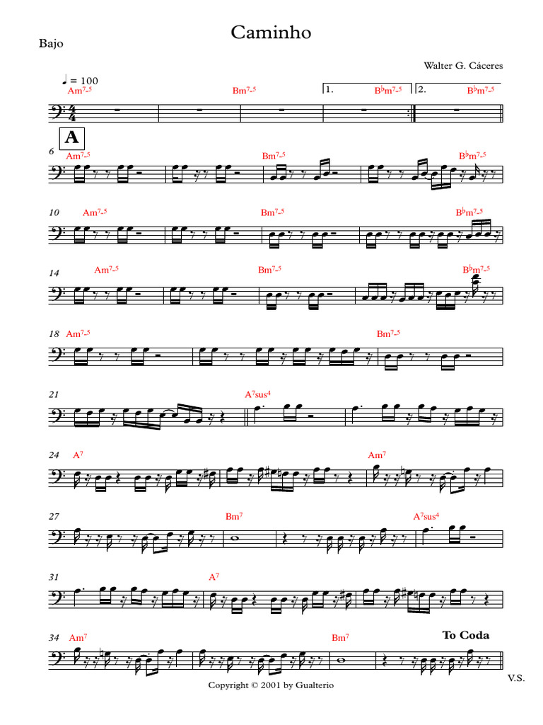 Camino Score RESUMO - Bajo | PDF