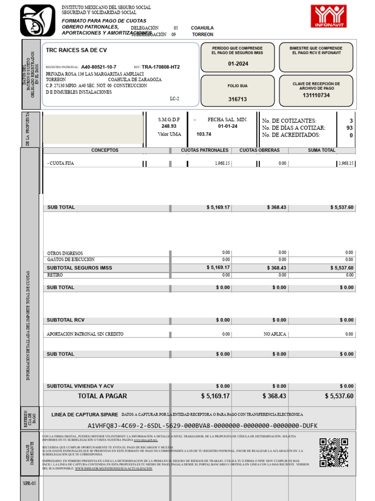 Formato para Pago Imss | PDF