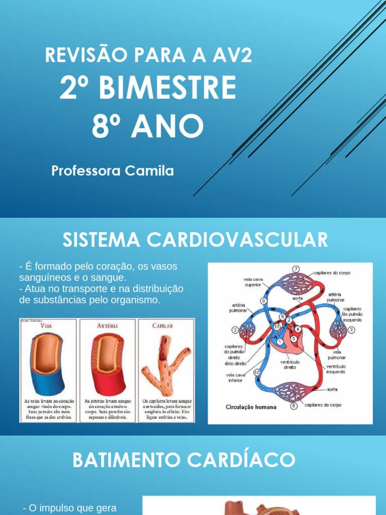 8º Ano - Revisão AV2 2º Bimestre | PDF