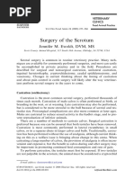 Burdizzo Method of Bovine Castration | PDF | Medicine | Male Mammals