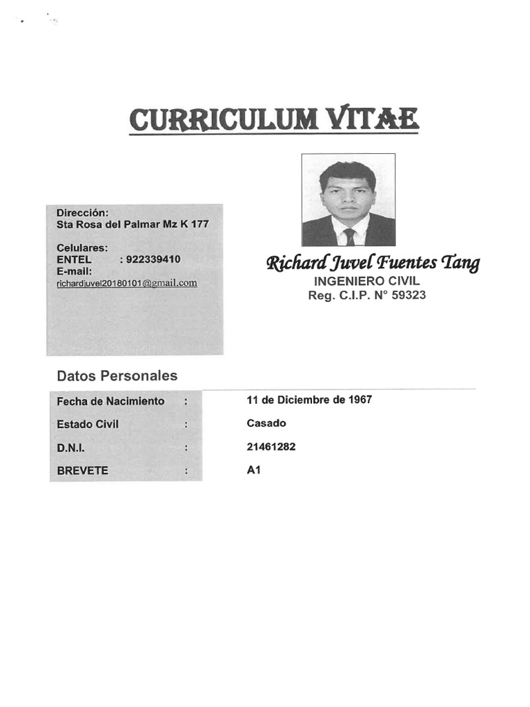 CV Richard Juvel Fuentes Tang | PDF