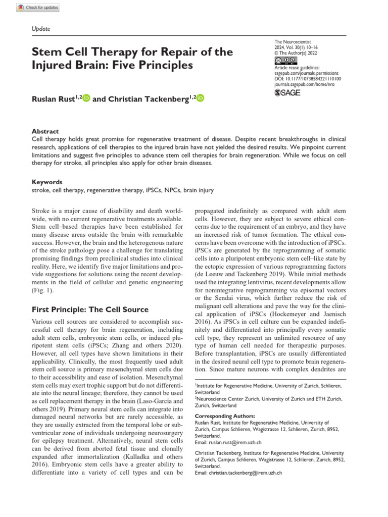 Rust Tackenberg 2022 Stem Cell Therapy for Repair of the Injured Brain ...