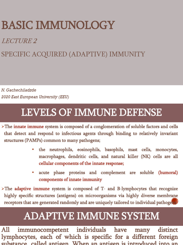 Lecture 2 Specific Immunity | PDF | Lymphocyte | Major ...