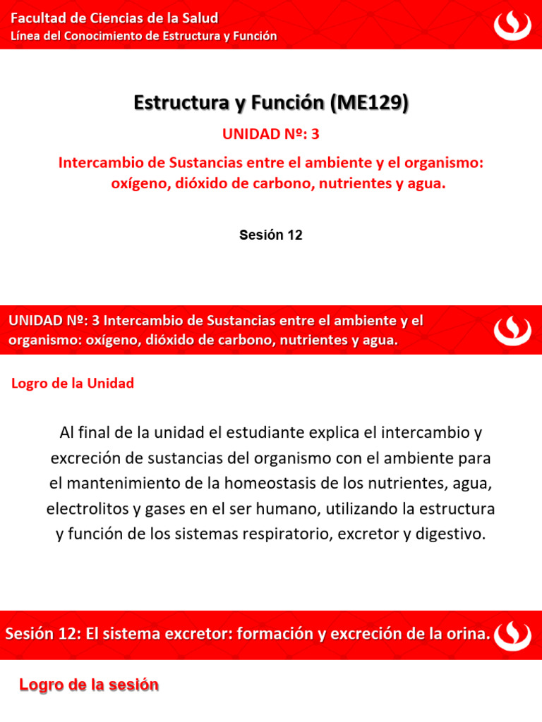 ME129 Sesión 12 Presentación EyF | PDF | Riñón | Sistema urinario