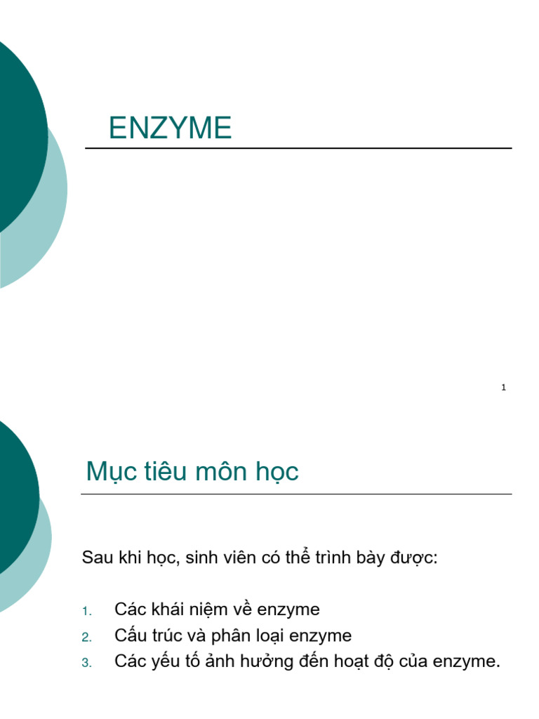Enzyme | PDF