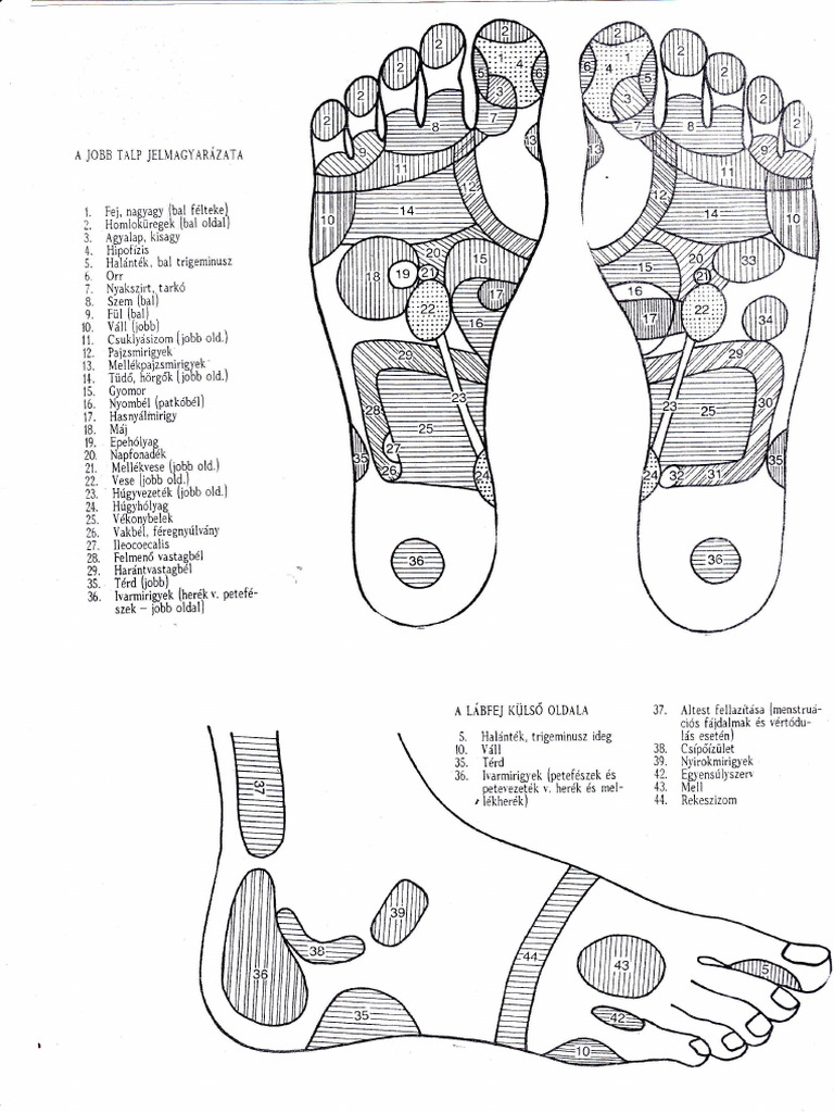 Lábtérkép Jobbés Bal Talp, Lábfej Reflexpontok | PDF