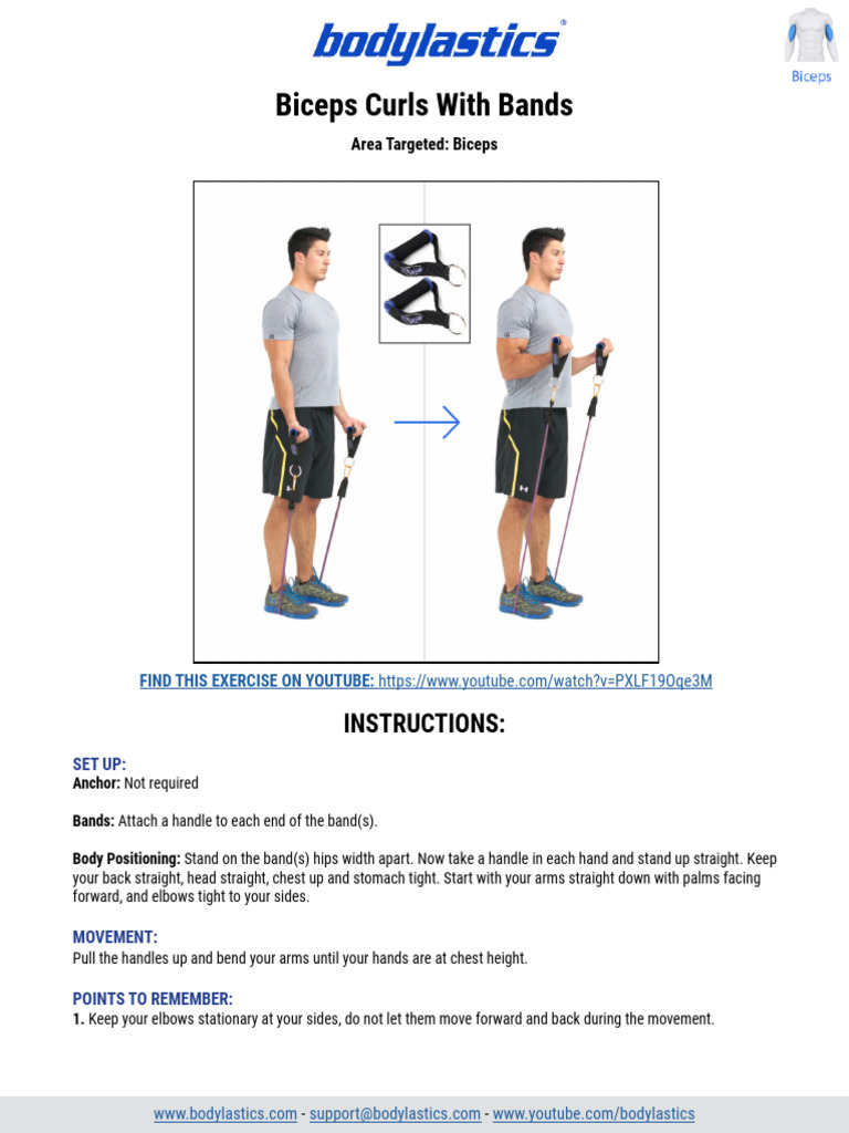 Biceps Curls With Bands 1 | PDF