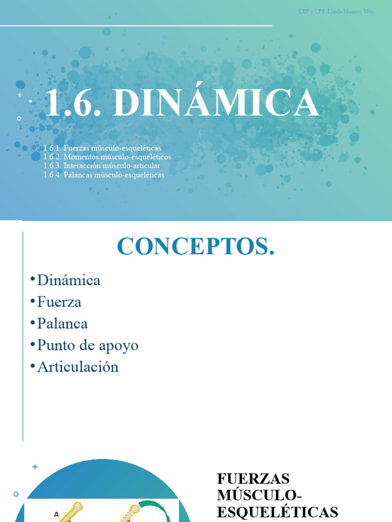BIOMECÁNICA | PDF | Músculo | Palanca
