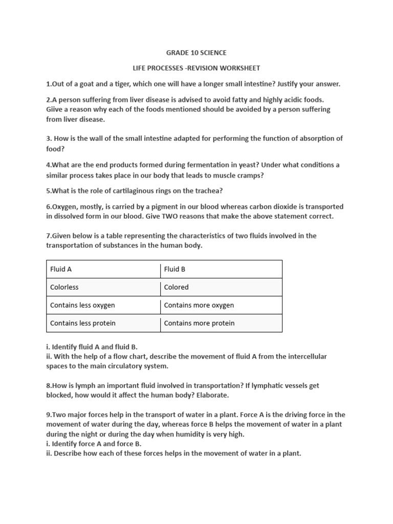 Grade 10 Science Life Processes Worksheet | PDF | Blood | Small Intestine