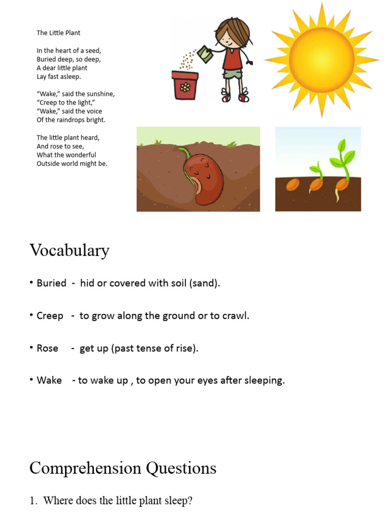 A1 in The Heart of A Seed | PDF