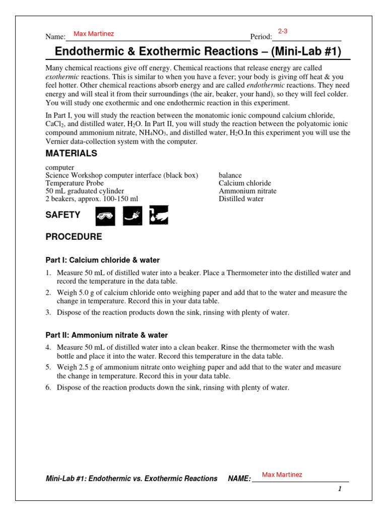 Kami Export - Max Martinez - 2022 - Endo vs. Exothermic Lab MiniLab 1 ...