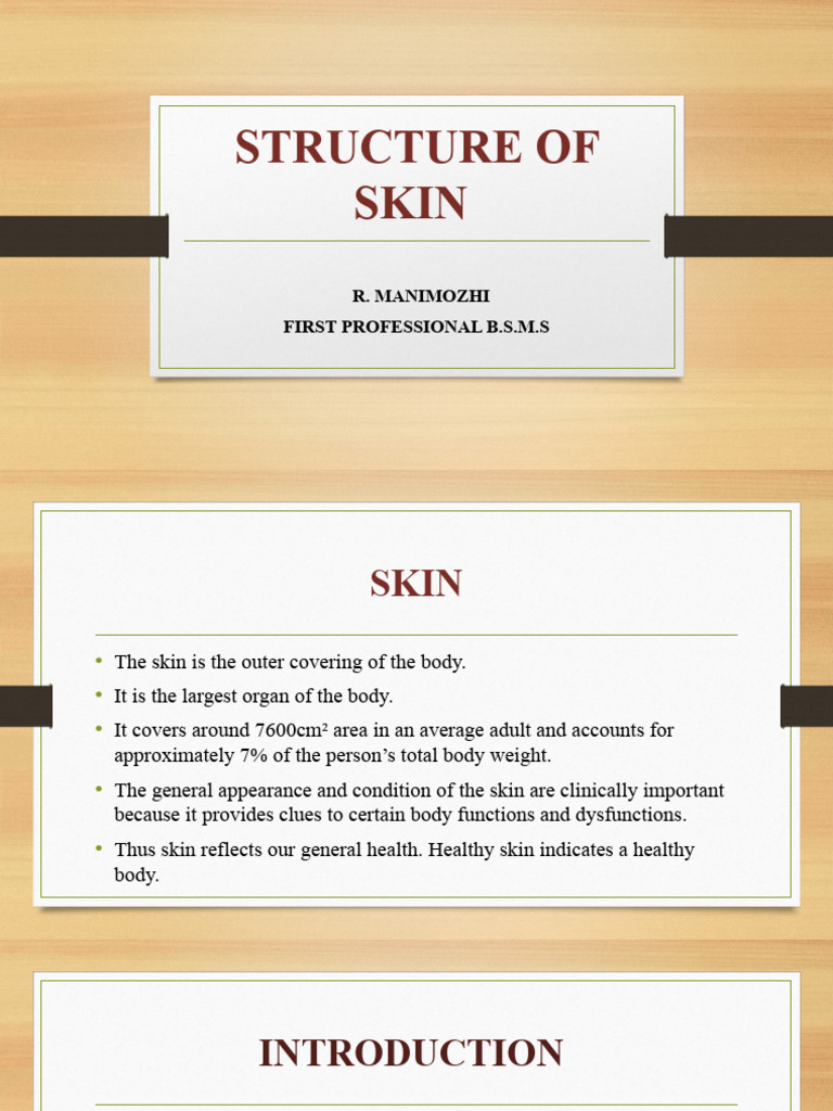 Structure of Skin | PDF | Skin | Epidermis
