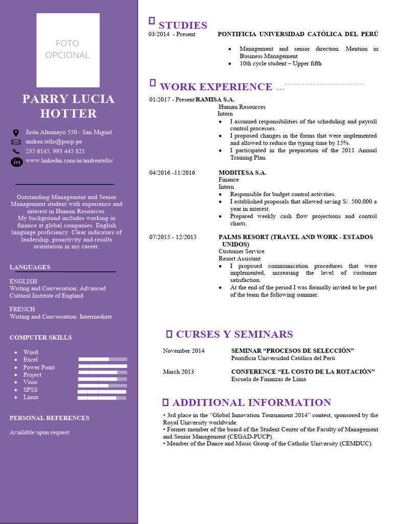 Formato de CV 02 | PDF