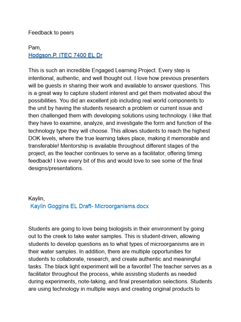 7400 Feedback El Drafts | PDF | Constructivism (Philosophy Of Education) | Learning