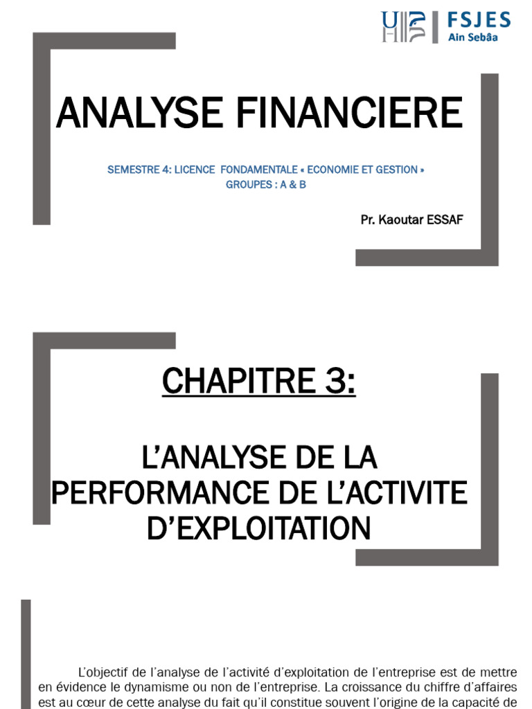Analyse de la Performance d'Exploitation | PDF | Revenu brut | Valeur ...