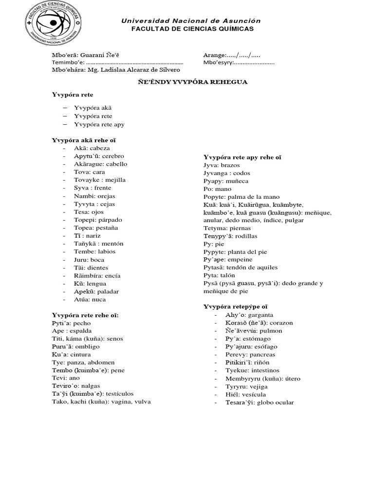 Ñande Rete Ñe'endy | PDF | Anatomía | Anatomía humana