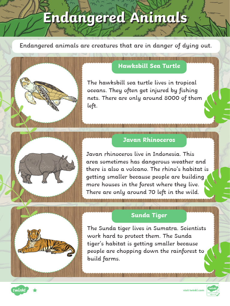 Endangered Animals Differentiated Reading Comprehension Activity - Ver ...