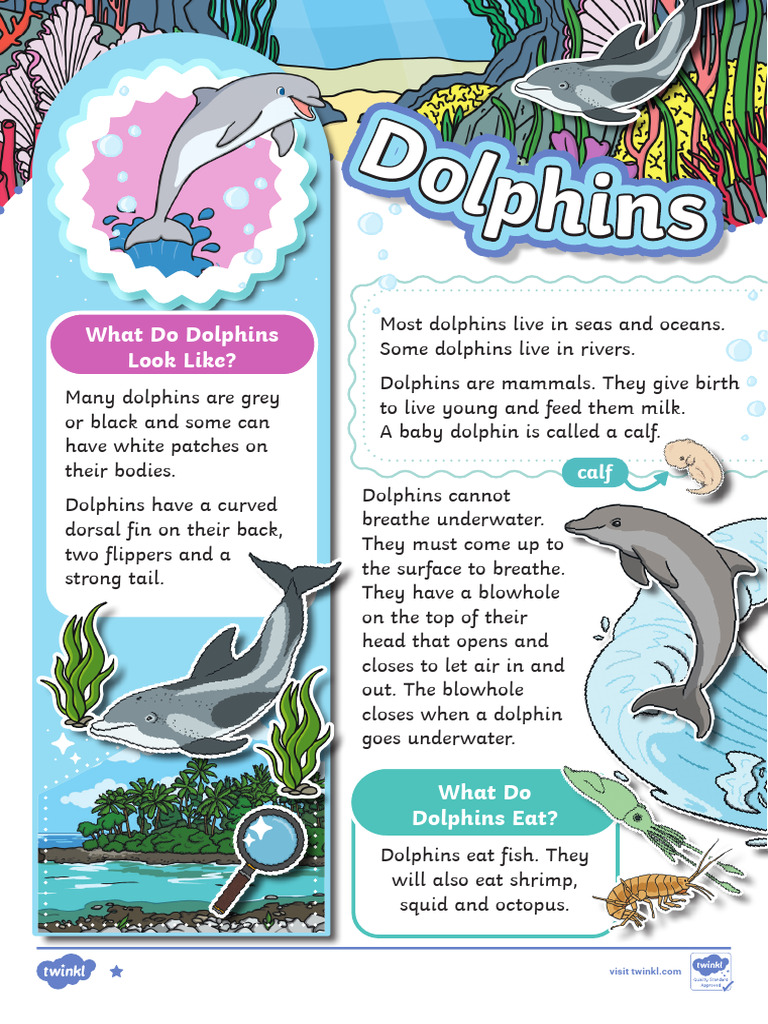 T L 9636 ks1 All About Dolphins Differentiated Reading Comprehension ...