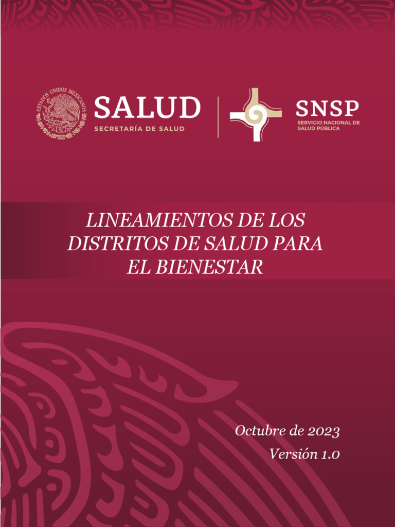 4.lineamientos DSB | PDF | Logística | Hospital