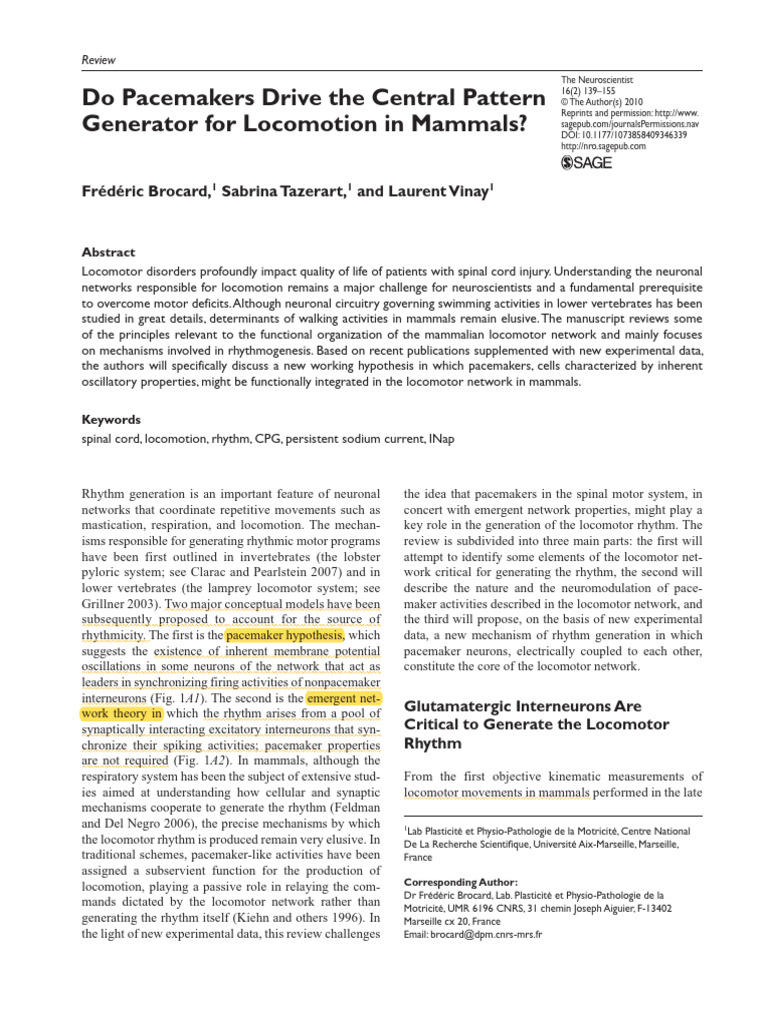 Do Pacemakers Drive The CPG For Locomotion in Mammals - Brocade Et Al ...