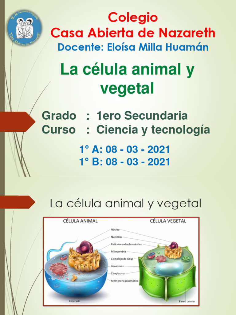 09 - La Célula Animal y Vegetal | PDF | Biología Celular) | Plantas