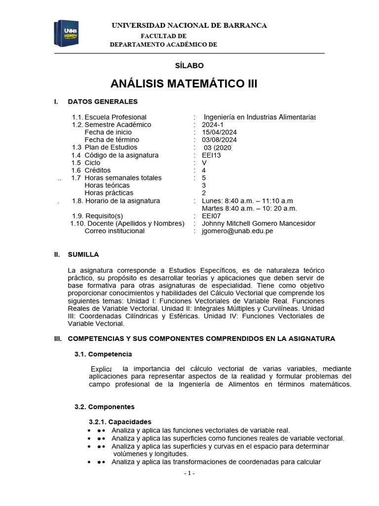 Formato Silabo 2024-1 | PDF | Integral | Evaluación