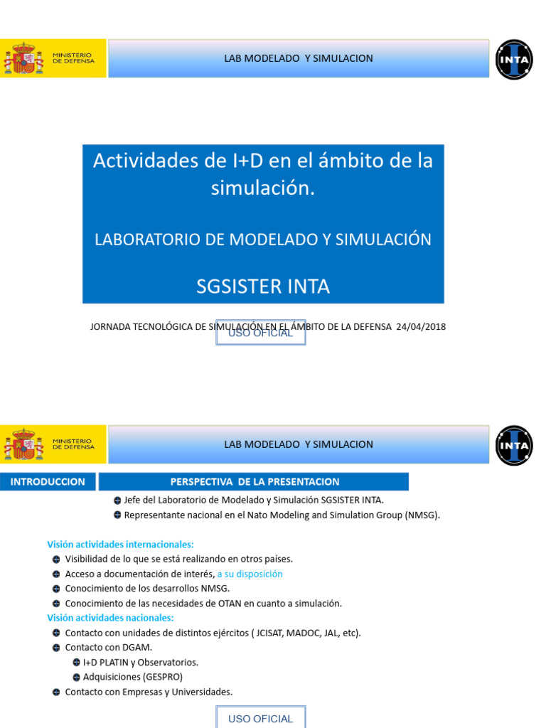 Hla Simulation Process | PDF | Simulación | Simulación por ordenador