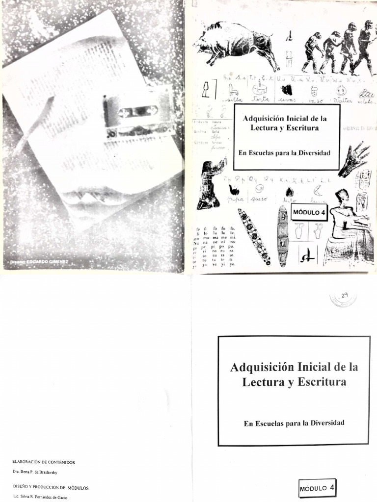 Adquisición inicial de la lectura y escritura | PDF