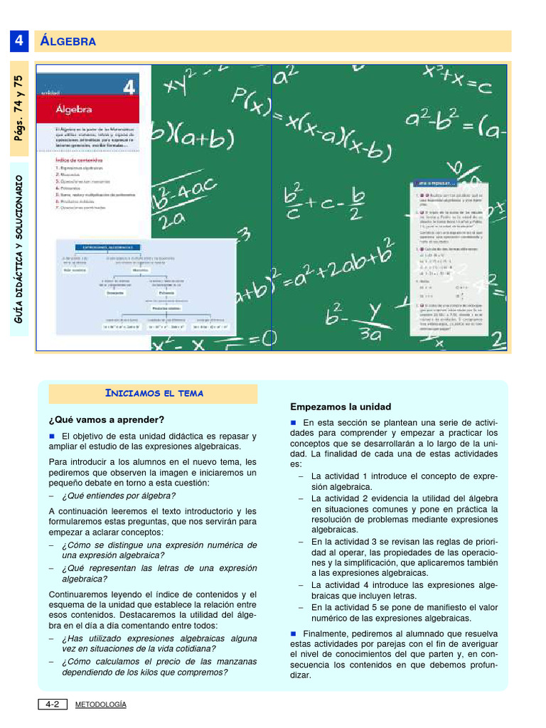Tema 4 Algebra | PDF | Matemáticas | Álgebra