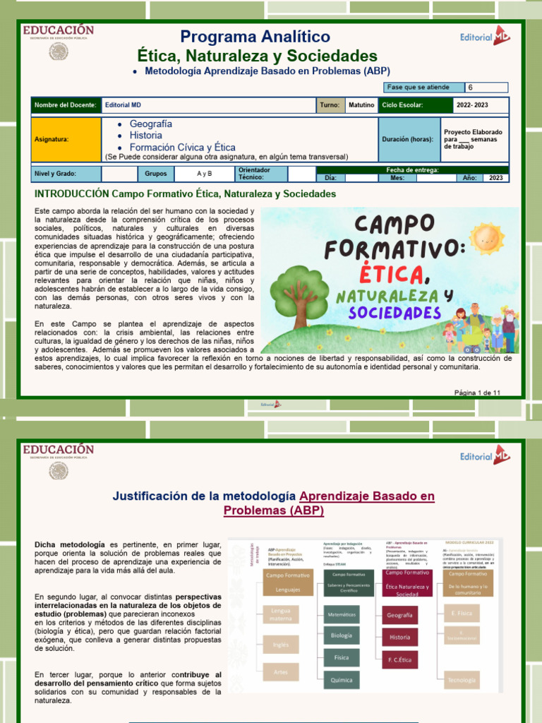 Programa Anal Tico Tica, Naturaleza MD | PDF | Enseñando | Aprendizaje